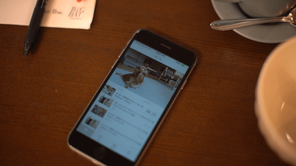 ペットの健康と食事を見守る。 遠隔操作も可能！ スマートごはんサーバー「hachi tama（ハチタマ）」 | GREENFUNDING